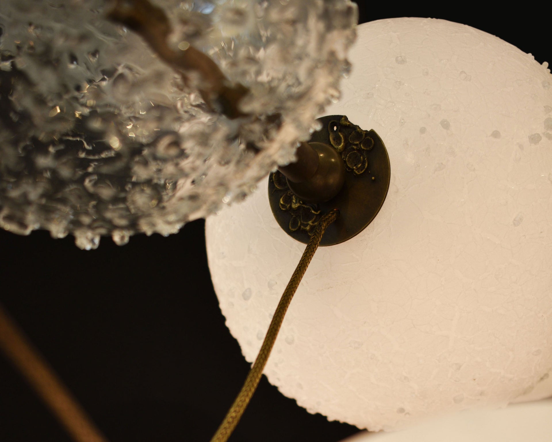 Larose Guyon Coco de Mer Chandelier | Glass Globe Lighting | DSHOP